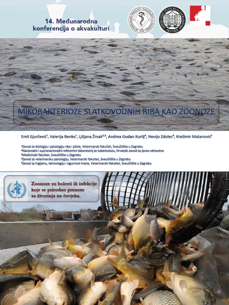 16 Mikobakterioze Slatkovodnih Riba Kao Zoonoze Gjurcevic Benko Zmak Gudan Kurilj Zdolec ...