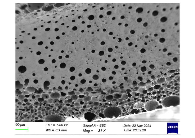 scm image of the tool structure | PDF