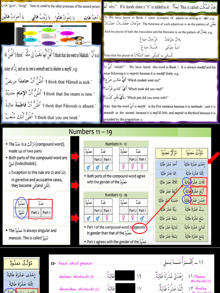 Notes - Lesson 12 (Chapter 6b) Madina Arabic Kitaab | PDF