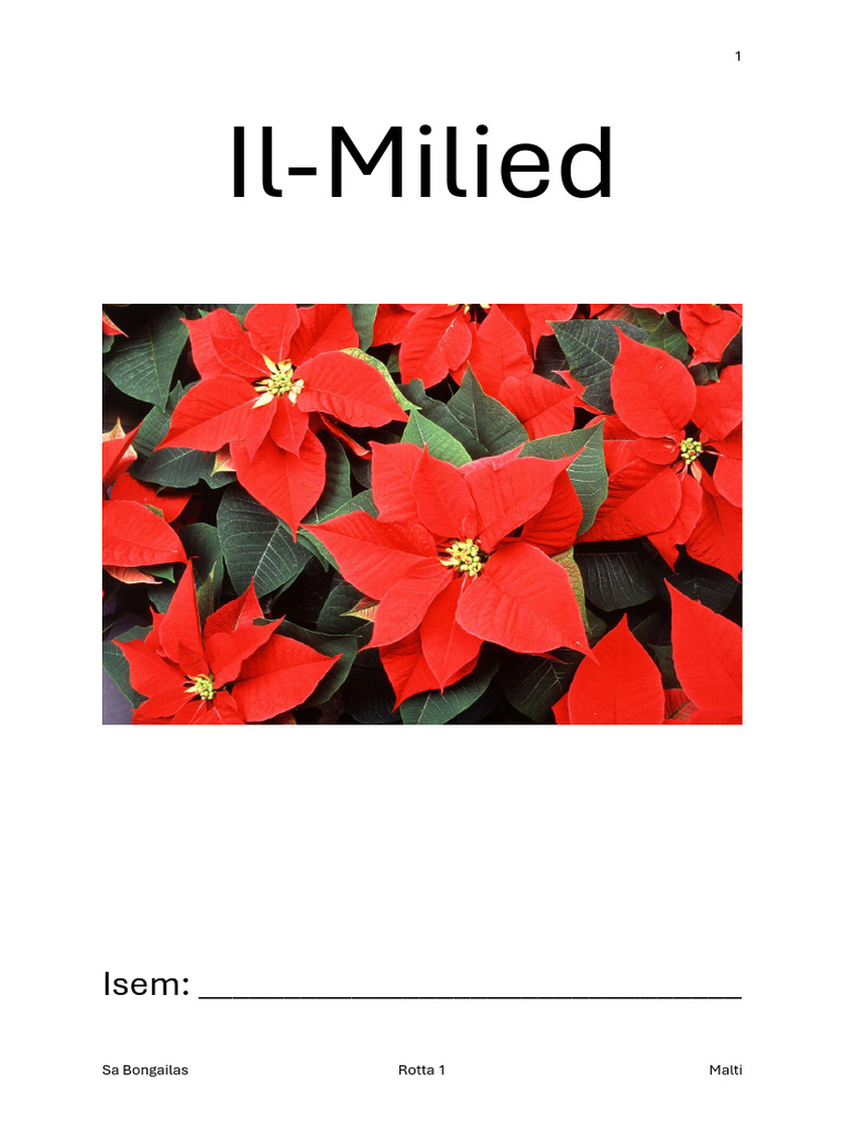 Il-Milied - Booklet | PDF