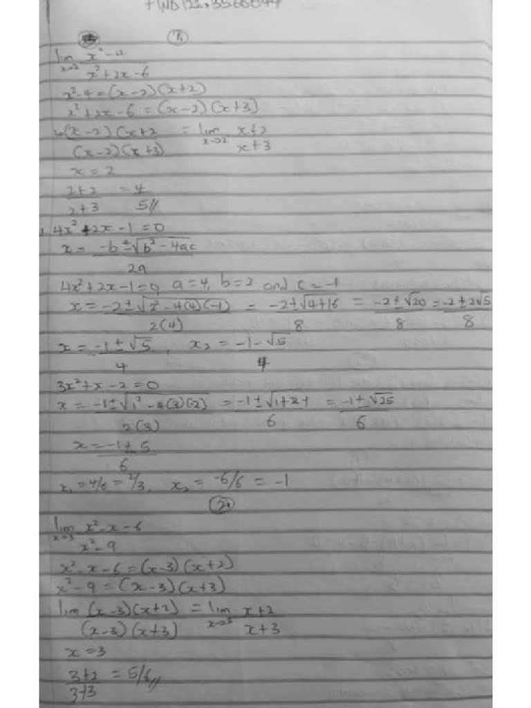 Calculus Assignment | PDF