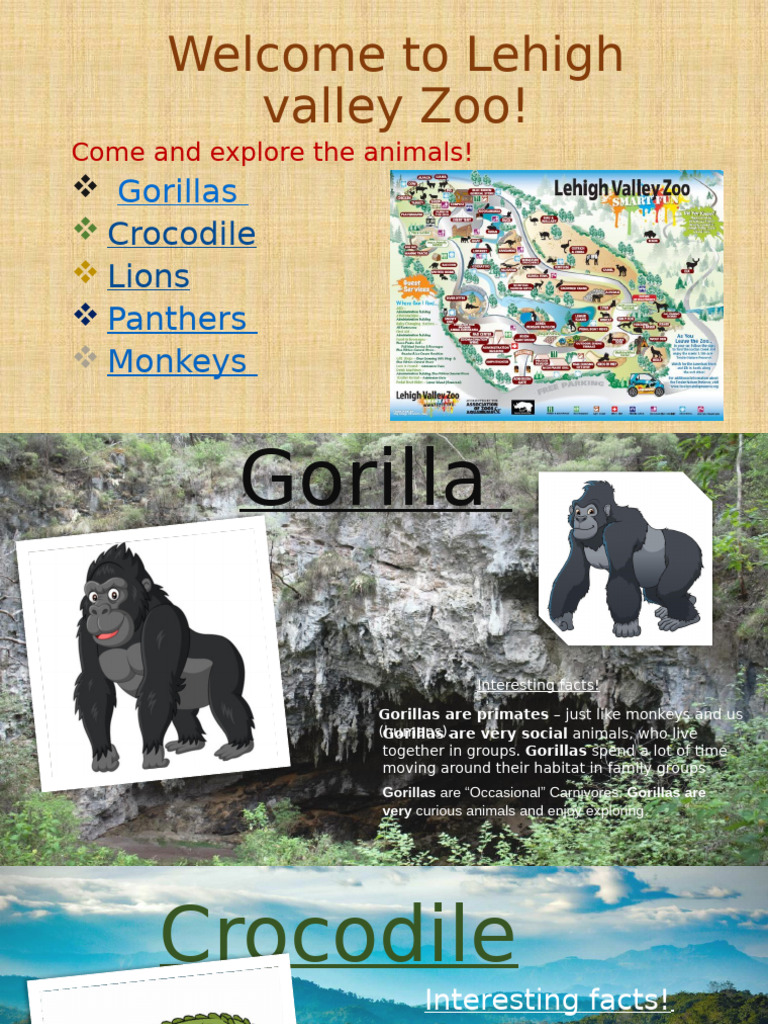 Welcome to Lehigh Valley Zoo! (2) | PDF