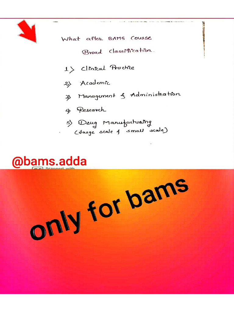 After Bams Scope | PDF