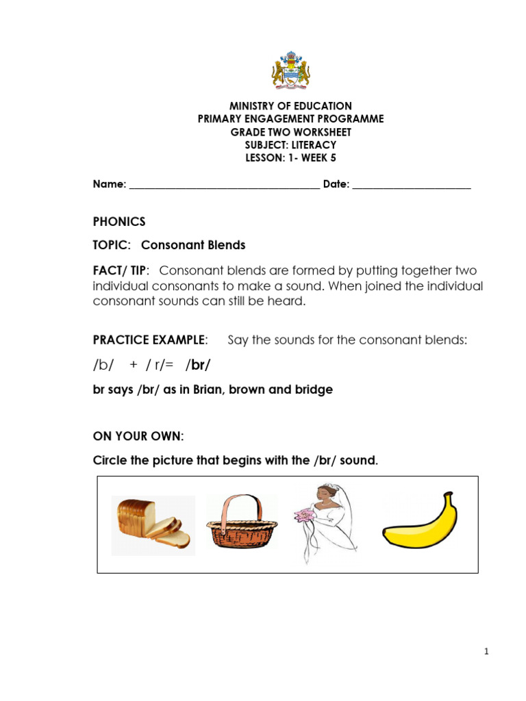 Grade 2 Literacy Weeks 5-8 Worksheets - Term 1 | PDF | Phonics | Plural