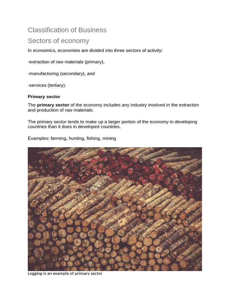 Understanding Economic Sectors | PDF | Tertiary Sector Of The Economy ...