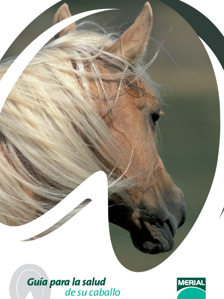 Guía de salud para caballos | PDF | Caballos | Úlcera péptica