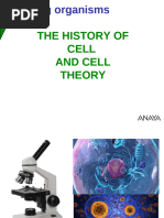 Wacky Cell Theory History Timeline | PDF | Microscopy | Science