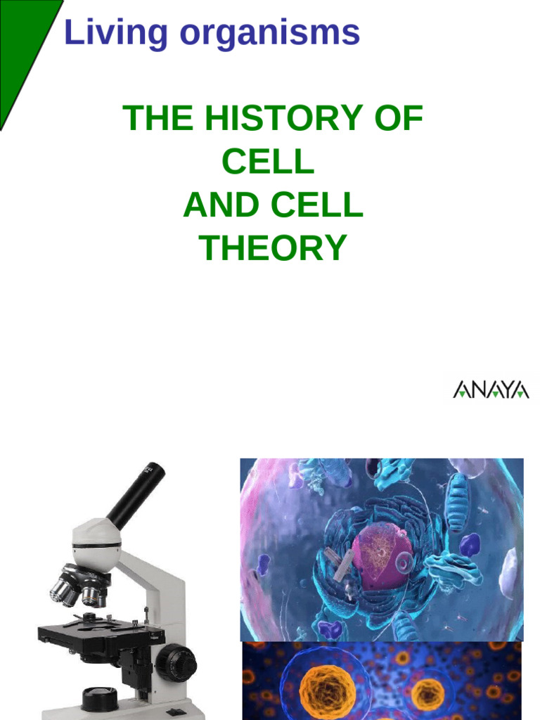 The History of Cell and Cell Theory | PDF | Cell (Biology) | Biology