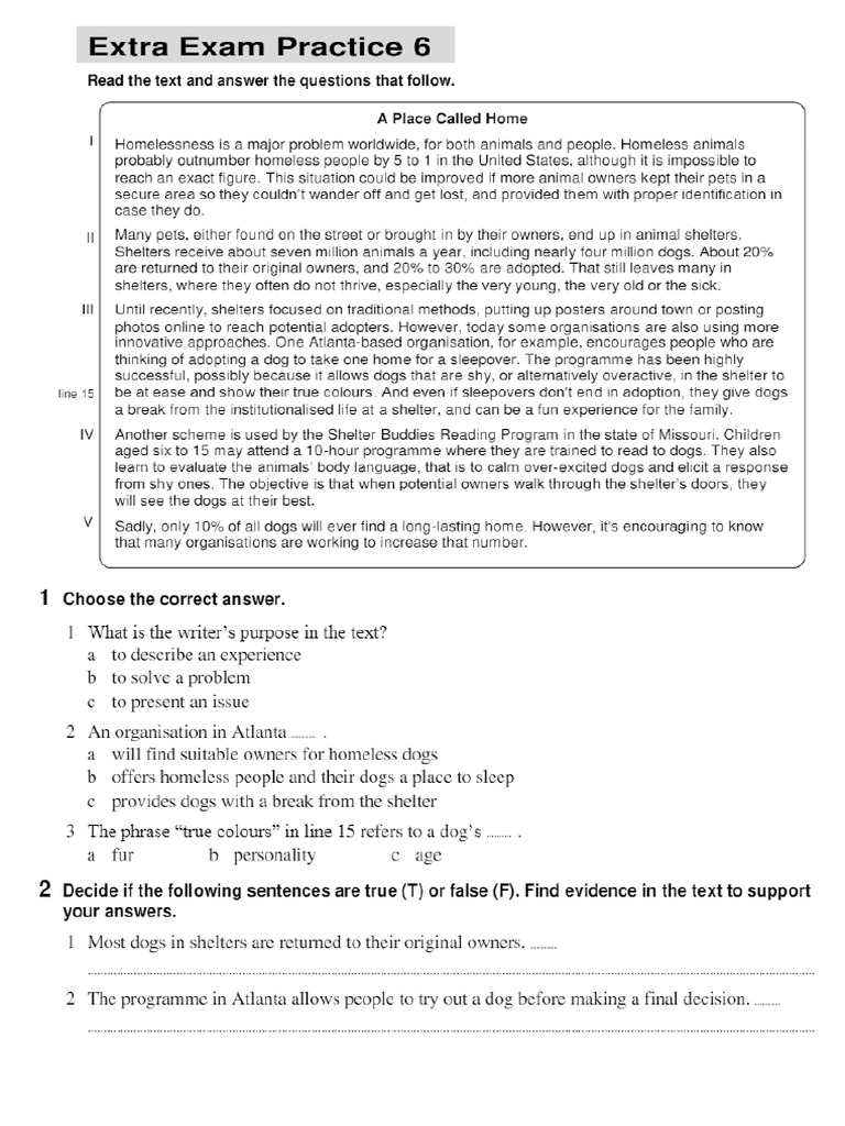 Extra Exam Practice 6 | PDF