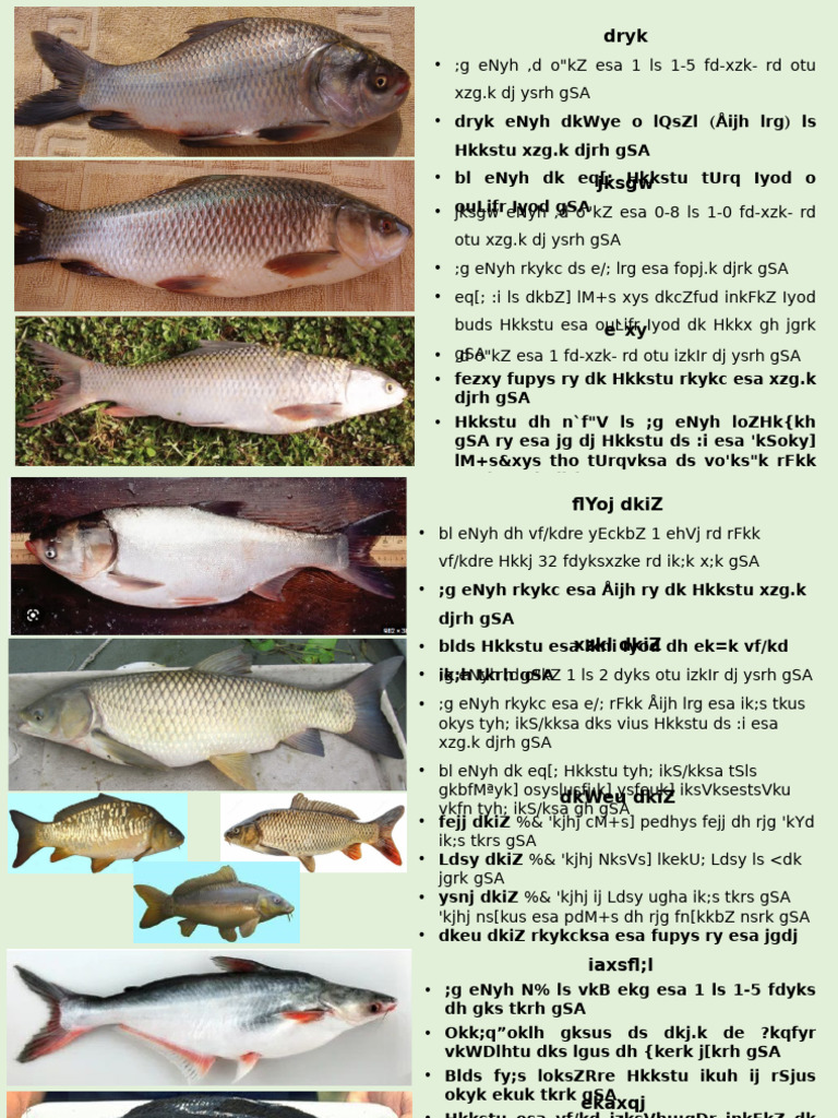Portable Carp Hatchery Overview | PDF