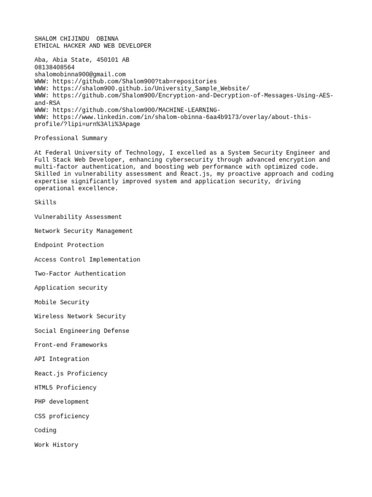 SHALOMCHIJINDU OBINNA Resume | PDF | Security | Computer Security