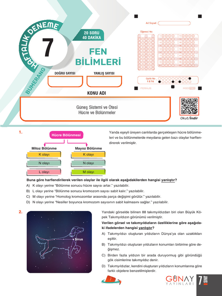 Fen 7. Sinif 7. Deneme | PDF