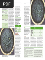 Worksheet - 1.1habitat | PDF | Habitat | Plants