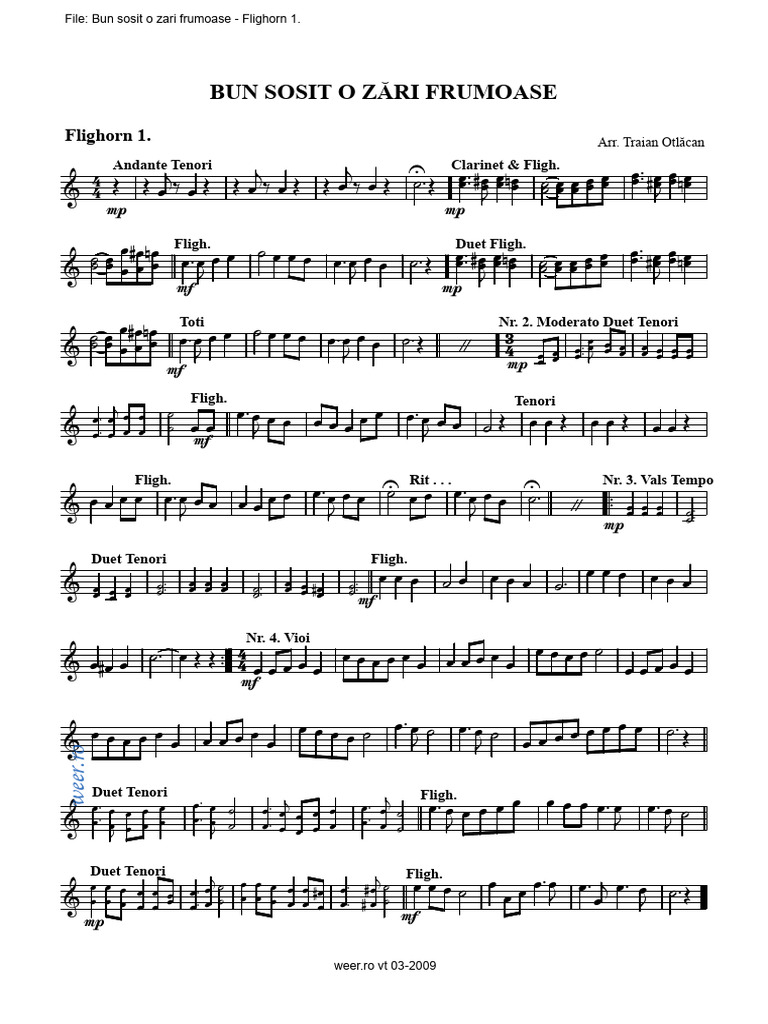 Bun Sosit o Zari Frumoase | PDF