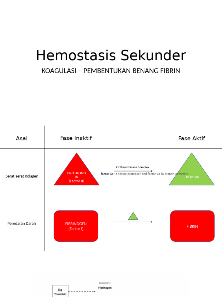 Hemostasis | PDF