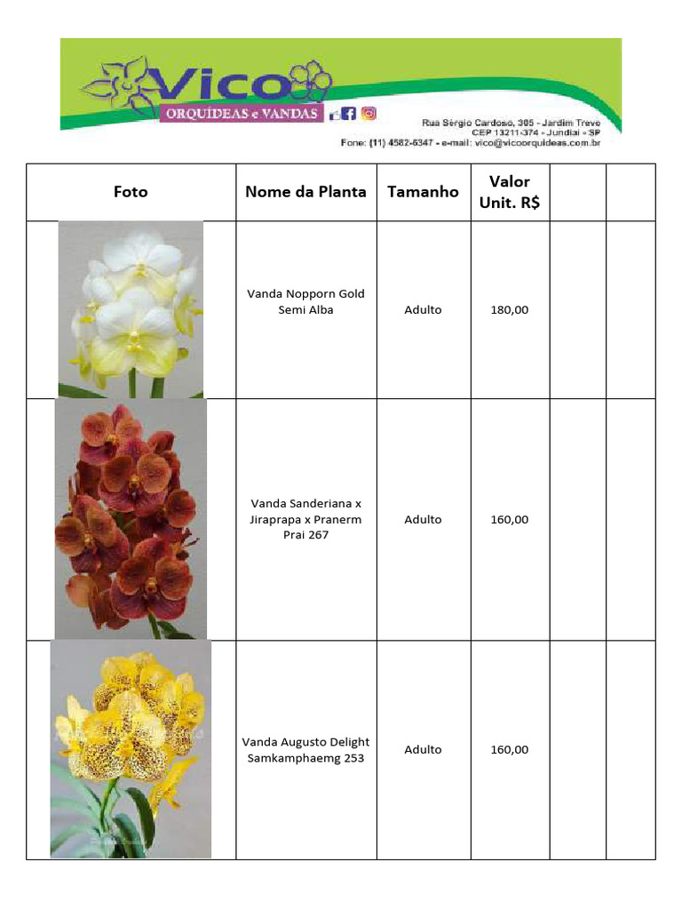 Catálogo - Vico | PDF | Botany | Plants