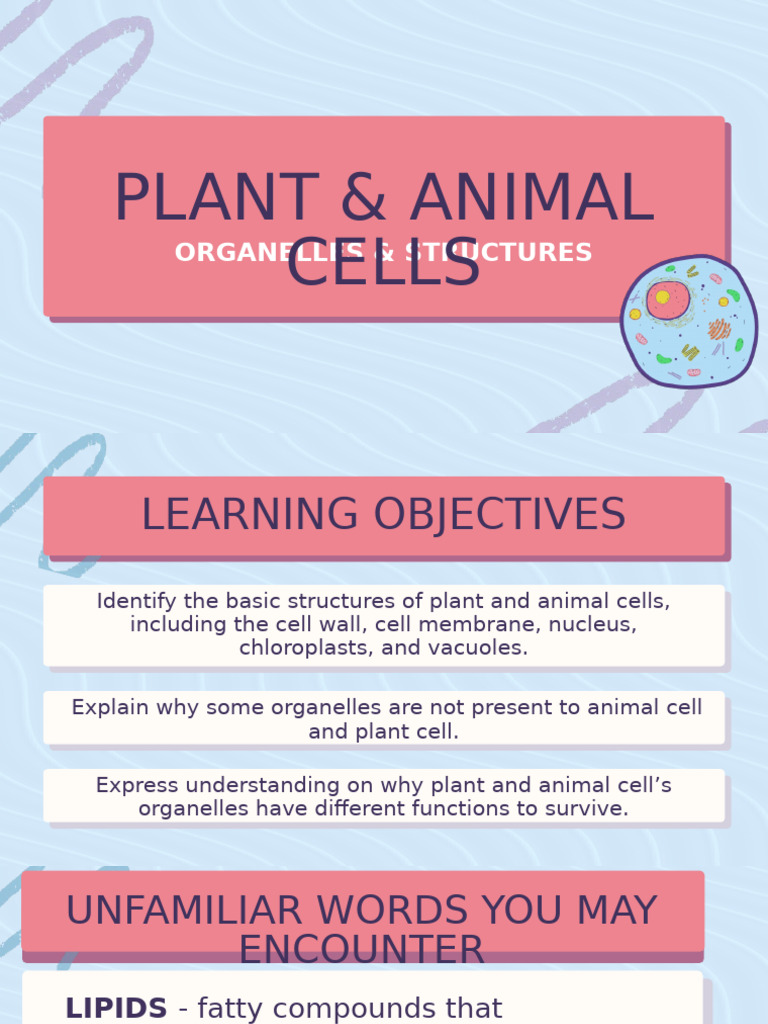 Cell Organelles Structures Lesson Presentation | PDF | Cell (Biology ...