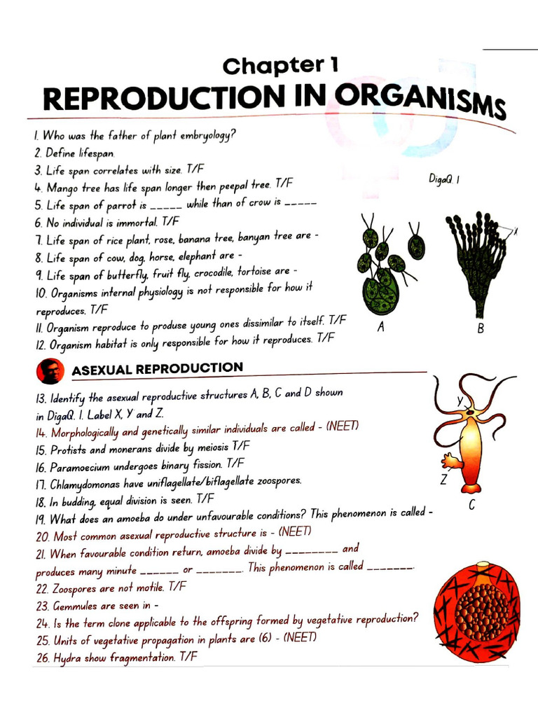 Reproduction Ncert | PDF