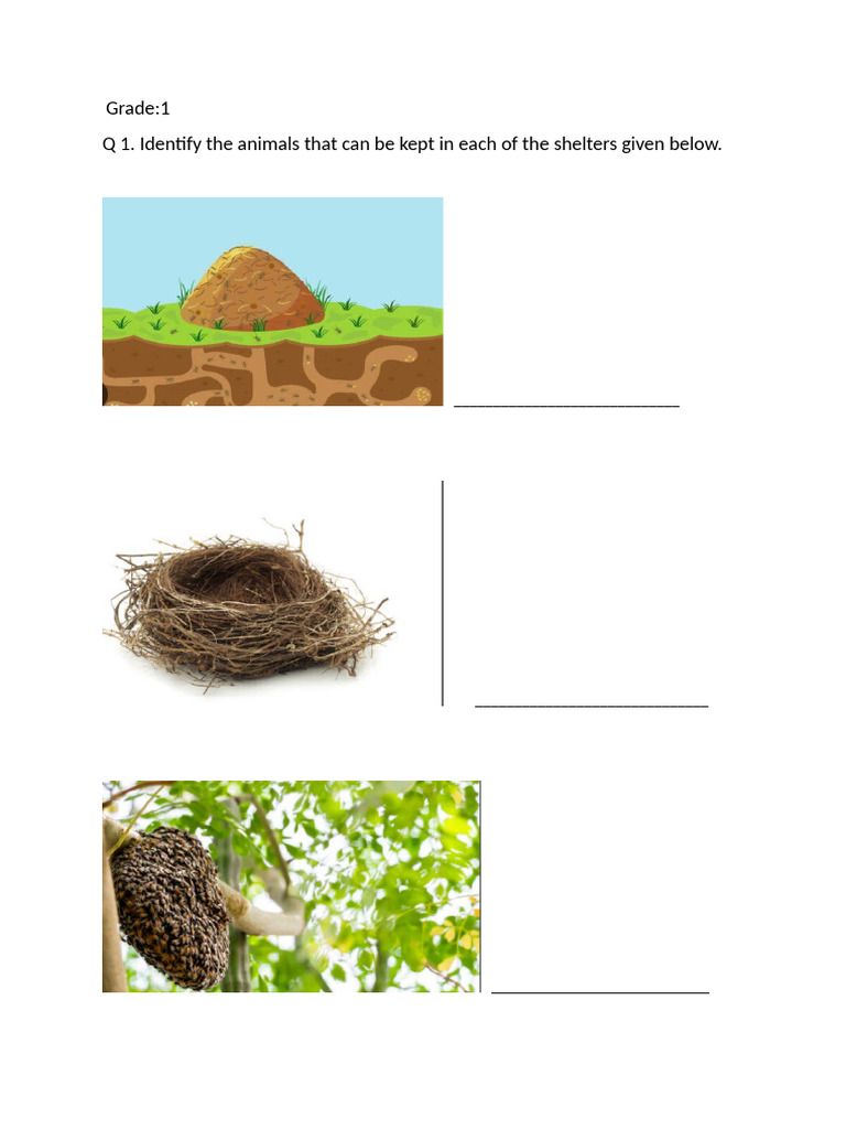 Grade 1 Worksheet | PDF