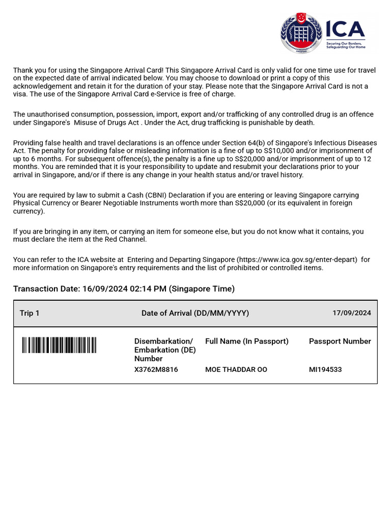 Singapore Arrival Card Guidelines | PDF