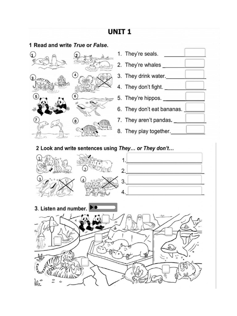Unit 1 All About Us 3 | PDF