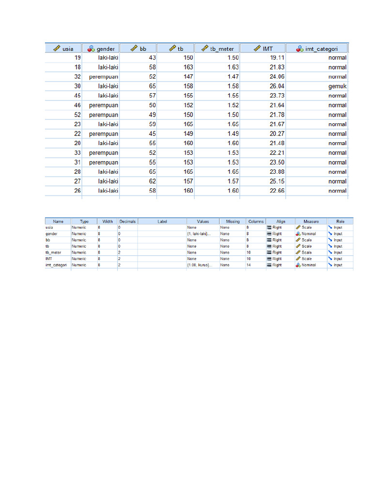 Pengenalan SPSS | PDF