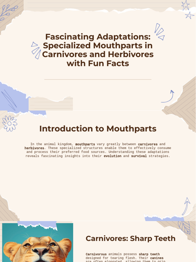 Slidesgo Fascinating Adaptations Specialized Mouthparts in Carnivores ...