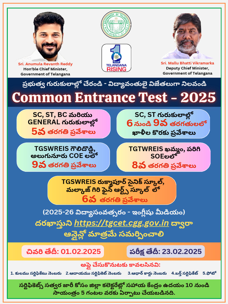 5th to 9th Common Entrance Test - 2025 | PDF