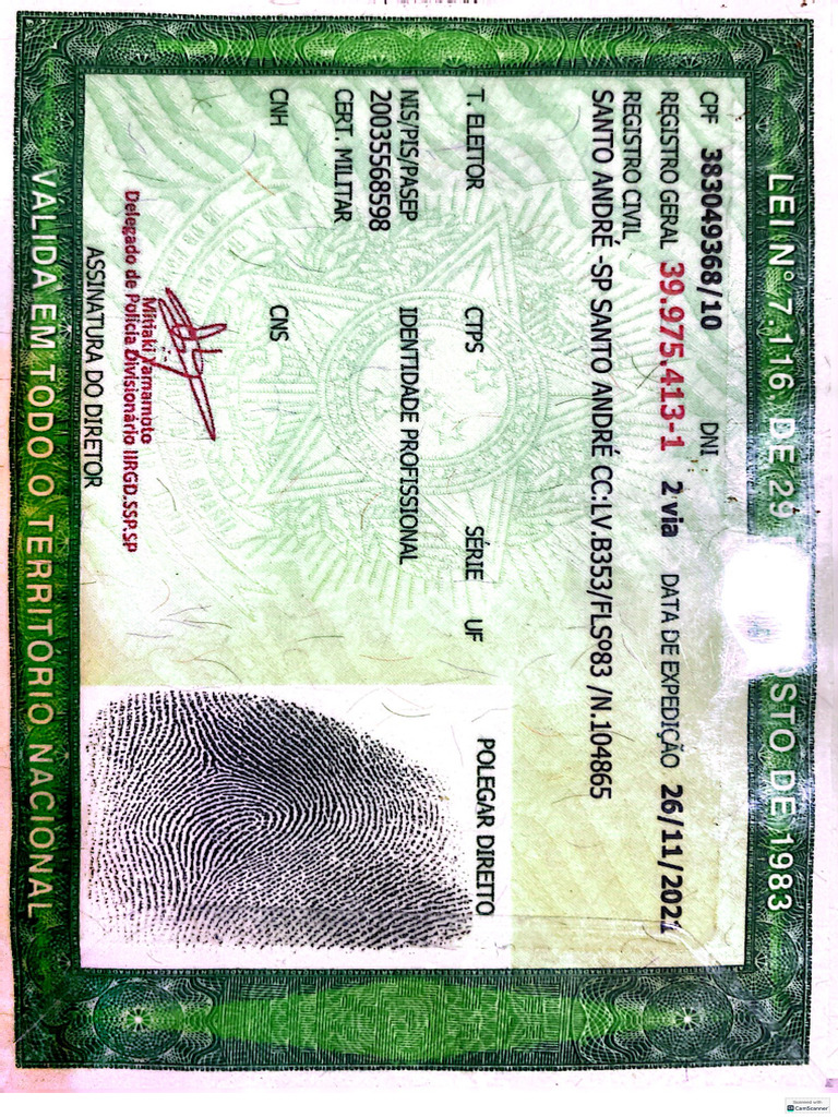 Documentos Ana Paula Fono 3 | PDF