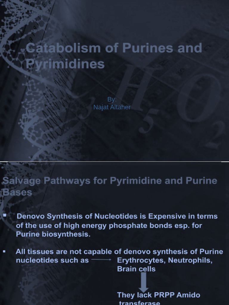 purine and pyrimidine catabolism | PDF