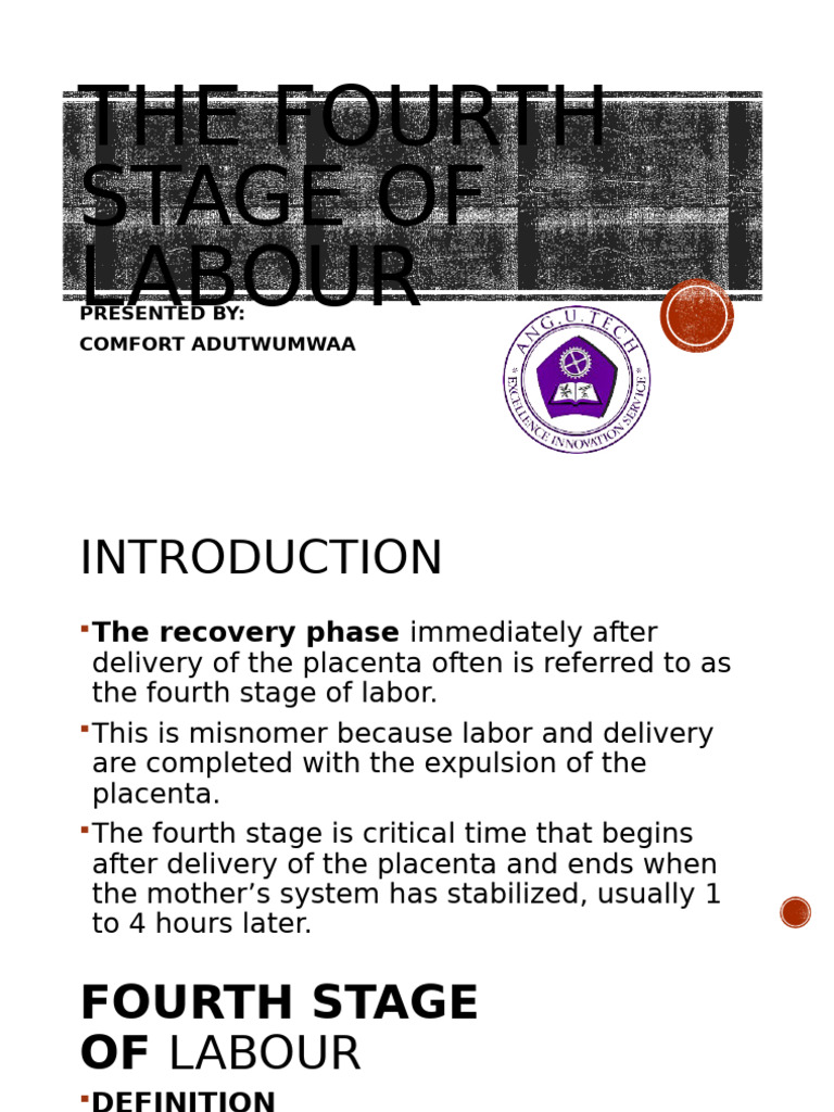 Fourth Stage of Labor Care Guide | PDF | Childbirth | Uterus