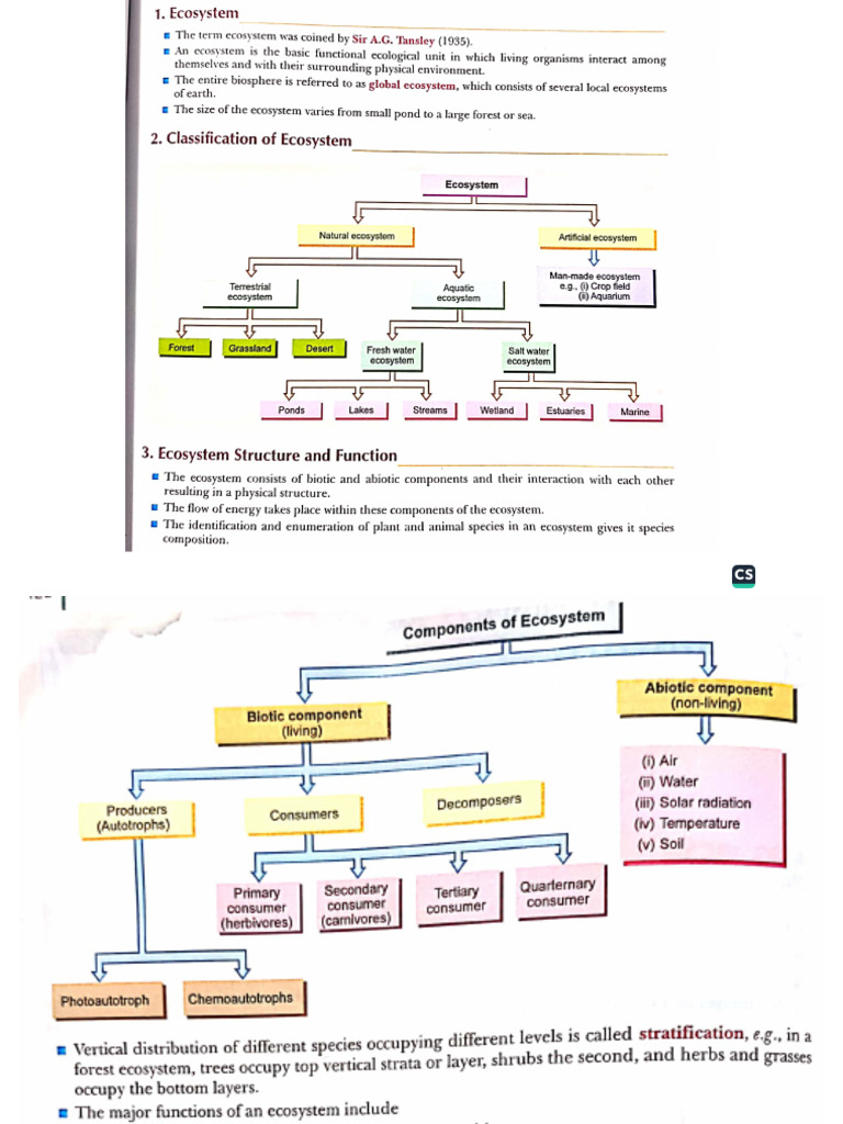 Ecosystem 12th Notes | PDF