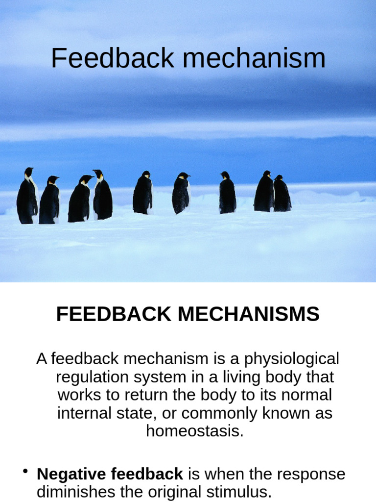 Feedback Mechanisms | PDF