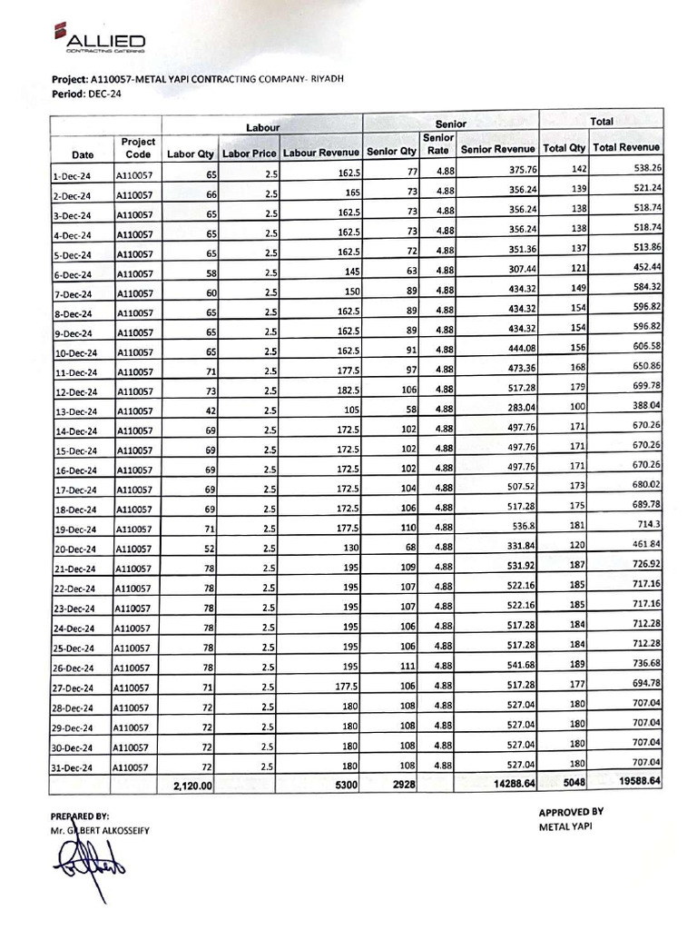 Metal Yapi - Dec 2024 - Summary Mandays + Parcels | PDF
