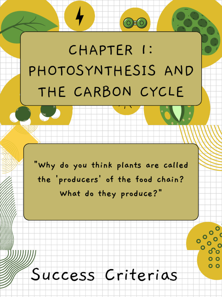Chapter 1 Photosynthesis and Carbon Cycle | PDF | Photosynthesis | Leaf