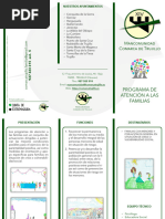 Diptico Caef Final 0 | PDF