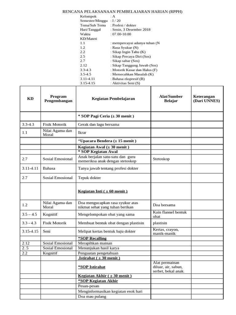 RPPH Tema Profesi Dokter PAUD | PDF