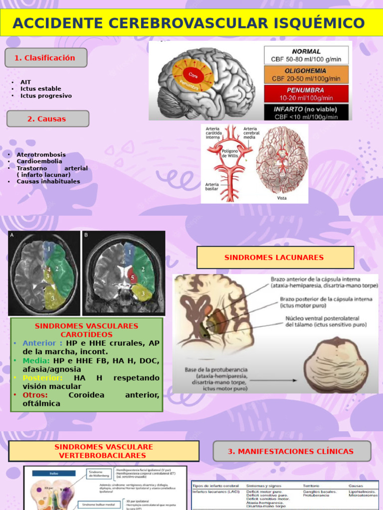 Exposicion Acv | PDF | Carrera | Hipertensión