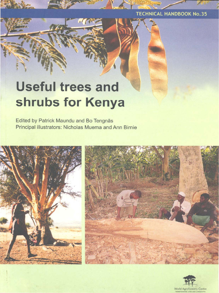 Useful Trees and Shrubs For Kenya | PDF