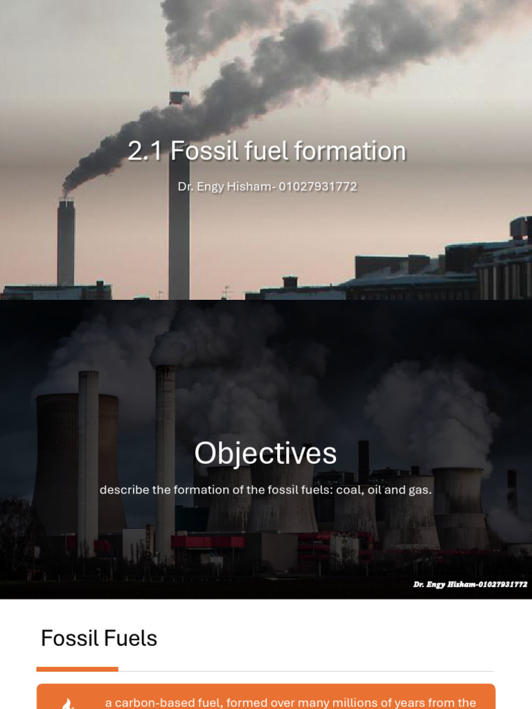 Fossil Fuel Formation Explained | PDF