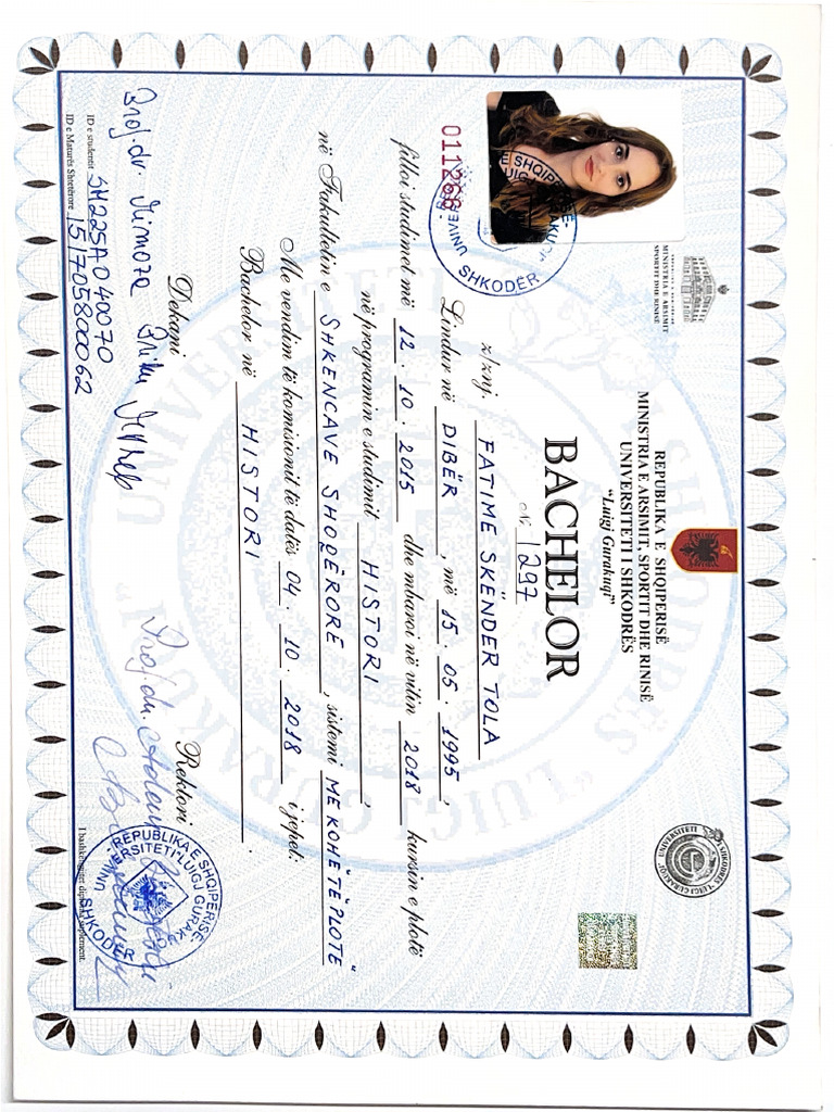 Diploma Bachelor | PDF