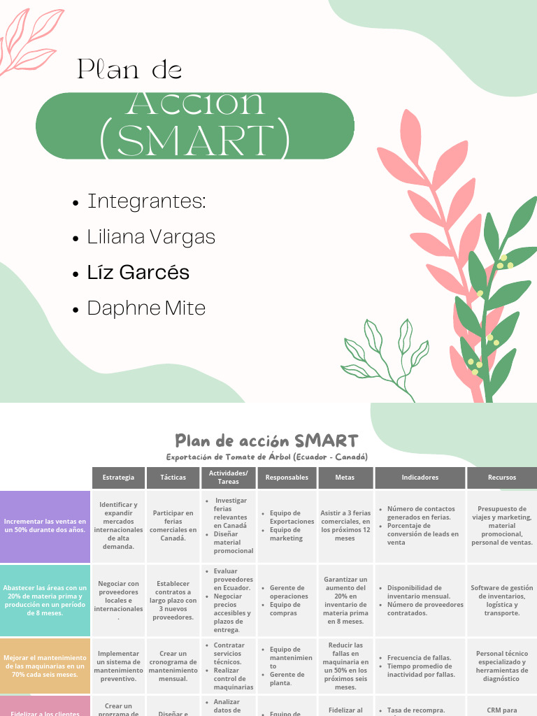 Plan de Acción SMART | PDF | Marketing | Logística