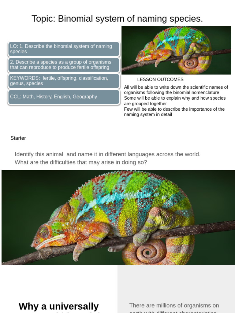 Understanding Binomial Nomenclature | PDF | Species | Taxonomy (Biology)