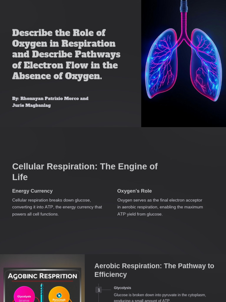 Role of Oxygen in Respiration and The Pathways of Electron Flow in The Absence of Oxygen | PDF ...