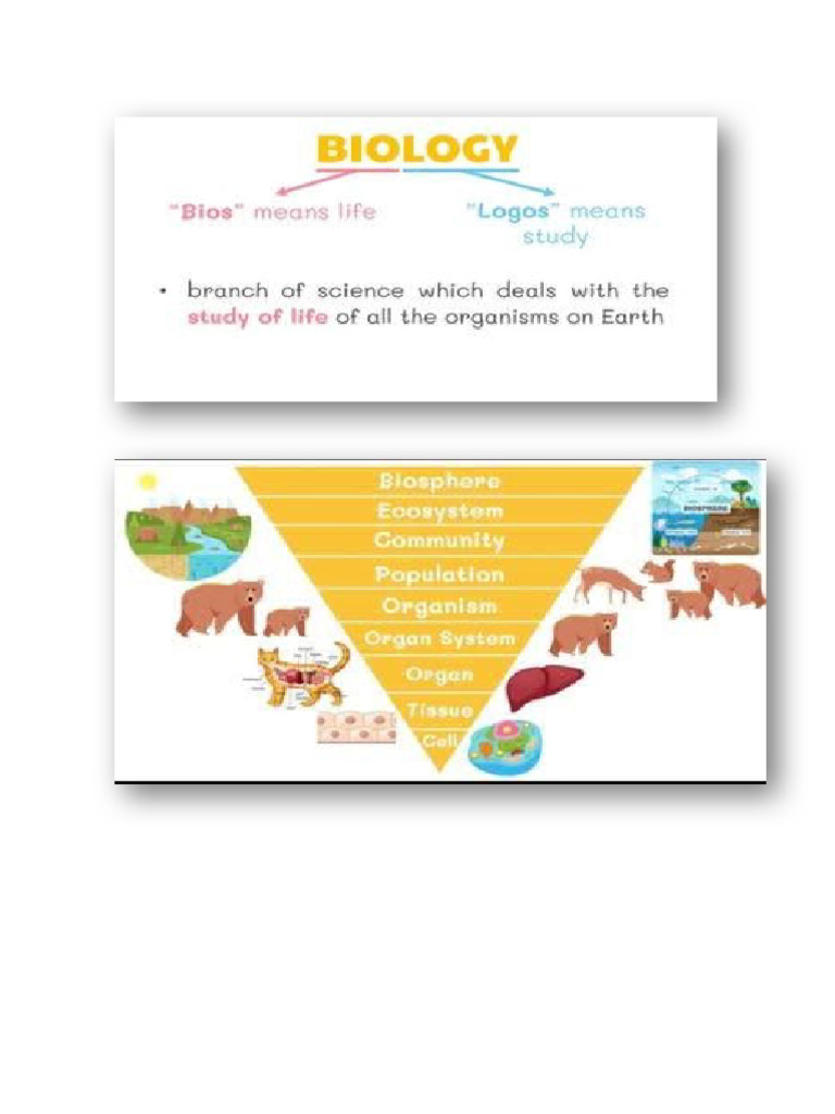 Biology | PDF