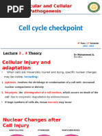 POGIL Activities For AP Biology - Cell Cycle and Regulation | PDF ...