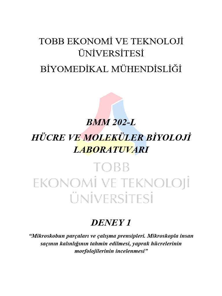 BMM 202L Deney 1 | PDF