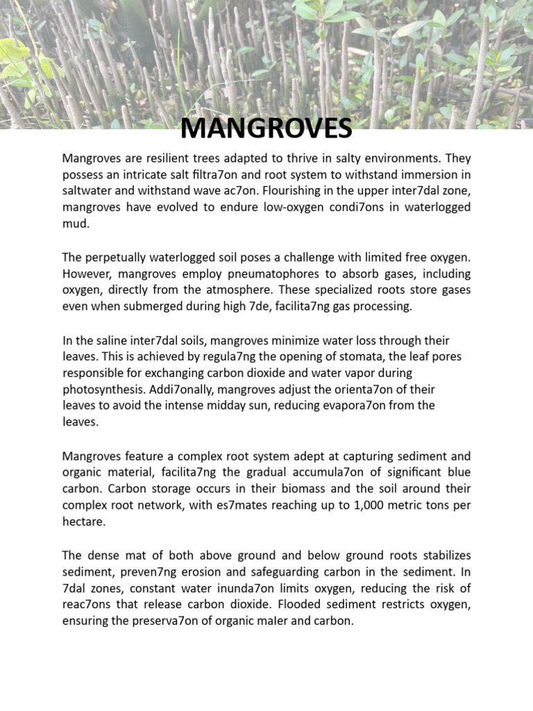 MANGROVES | PDF