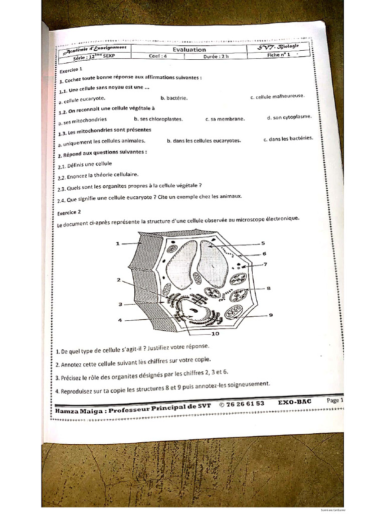 Exo Bac Biologie 1 | PDF