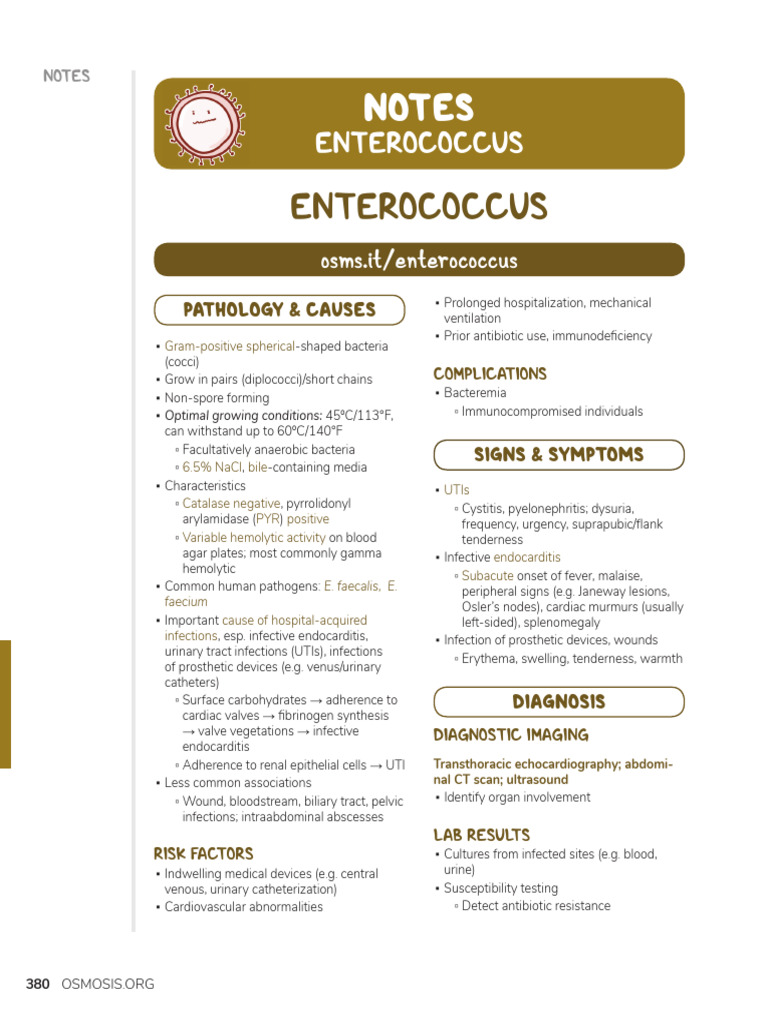 Enterococcus | PDF | Urinary Tract Infection | Infection